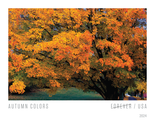 Autumn Colors — Stamps Forever