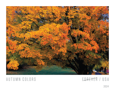 Autumn Colors — Stamps Forever