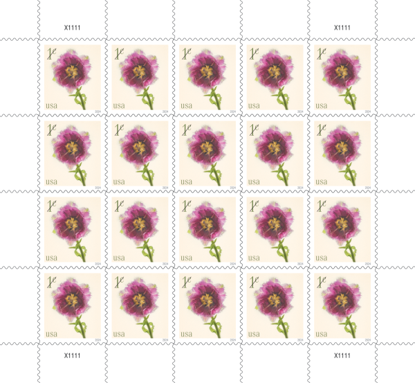 Fall 2024 Catalog — Stamps Forever