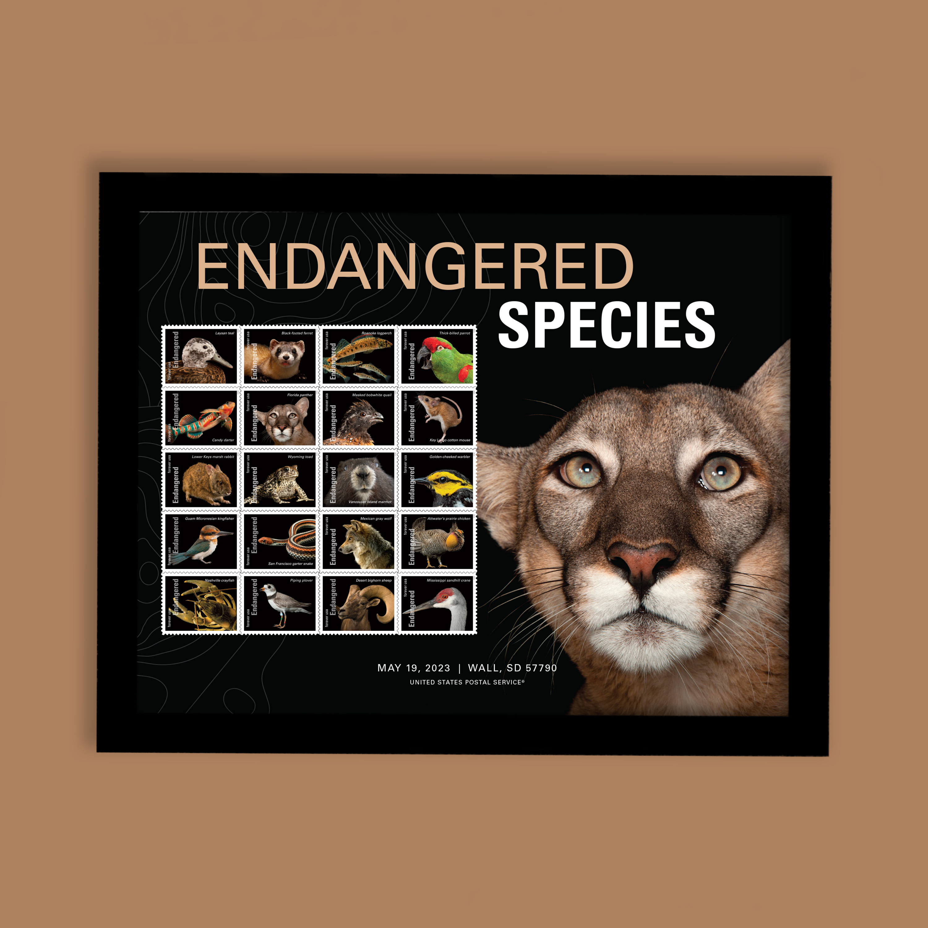 Endangered Species Framed Stamps — Florida Panther — Stamps Forever