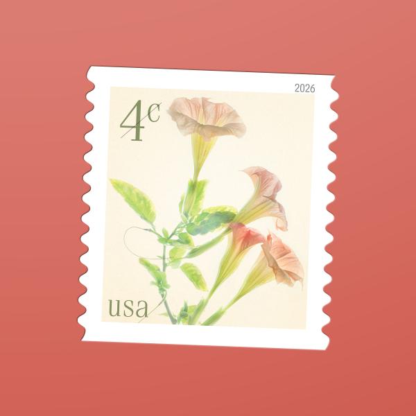 4¢ Angel's Trumpets Strip of 500 (Coil of 10,000) — Stamps Forever