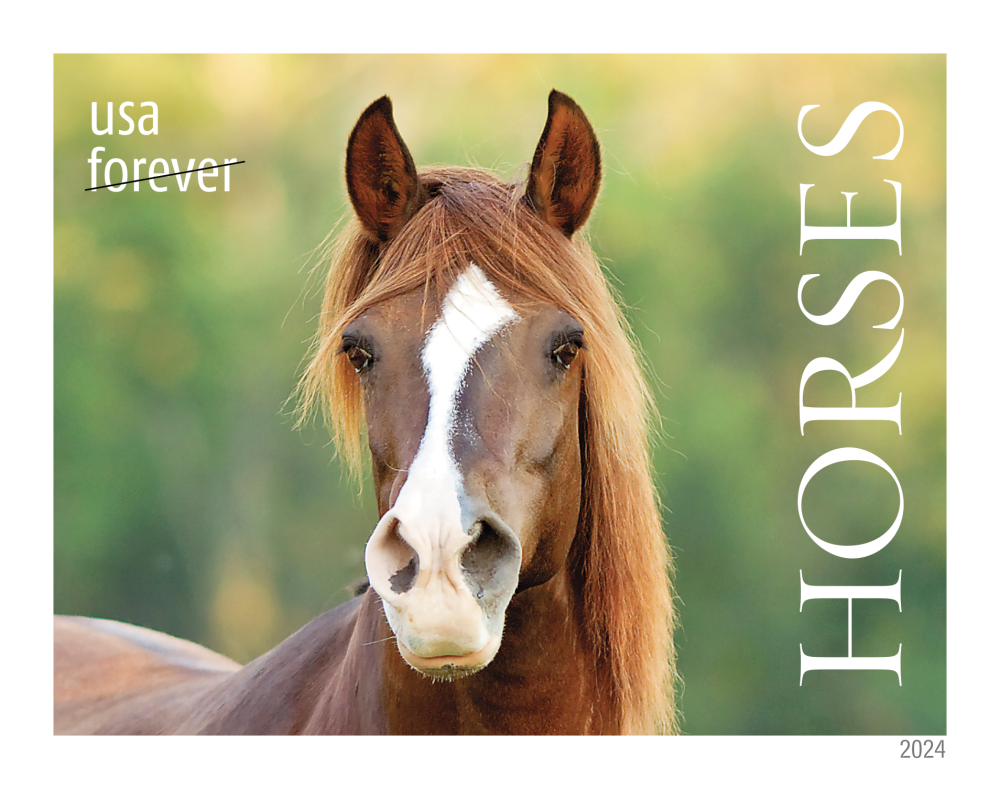 Horses — Stamps Forever