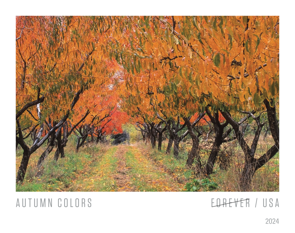 Autumn Colors — Stamps Forever
