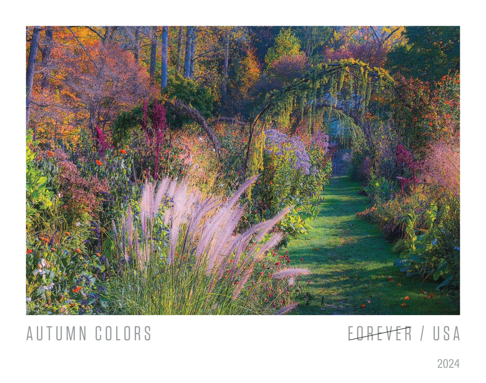 Autumn Colors — Stamps Forever