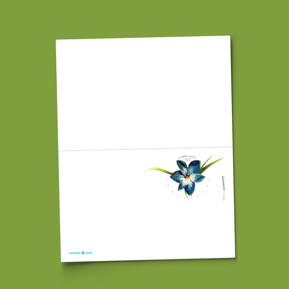 Azulillo Flower Double Reply Stamped Card — Stamps Forever