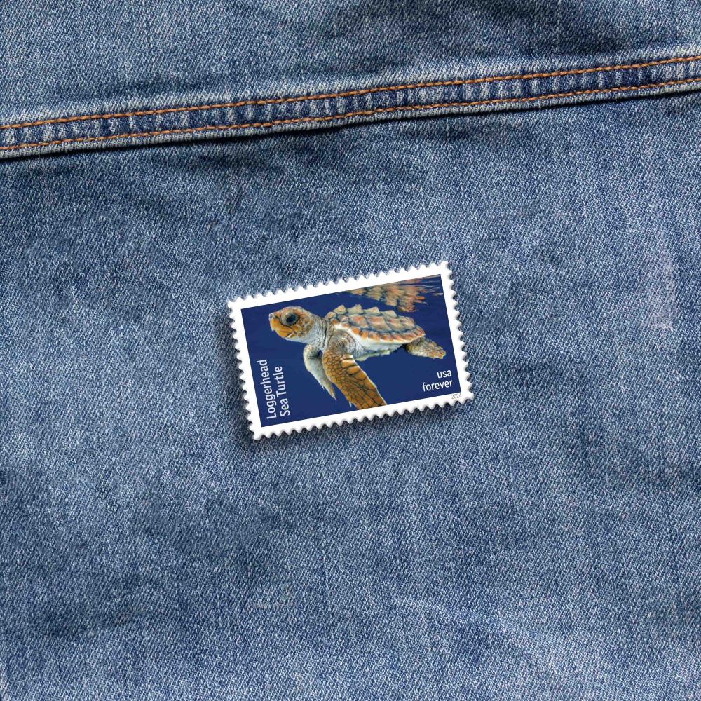 Protect Sea Turtles Stamp Pin with Cancellation Card — Stamps Forever